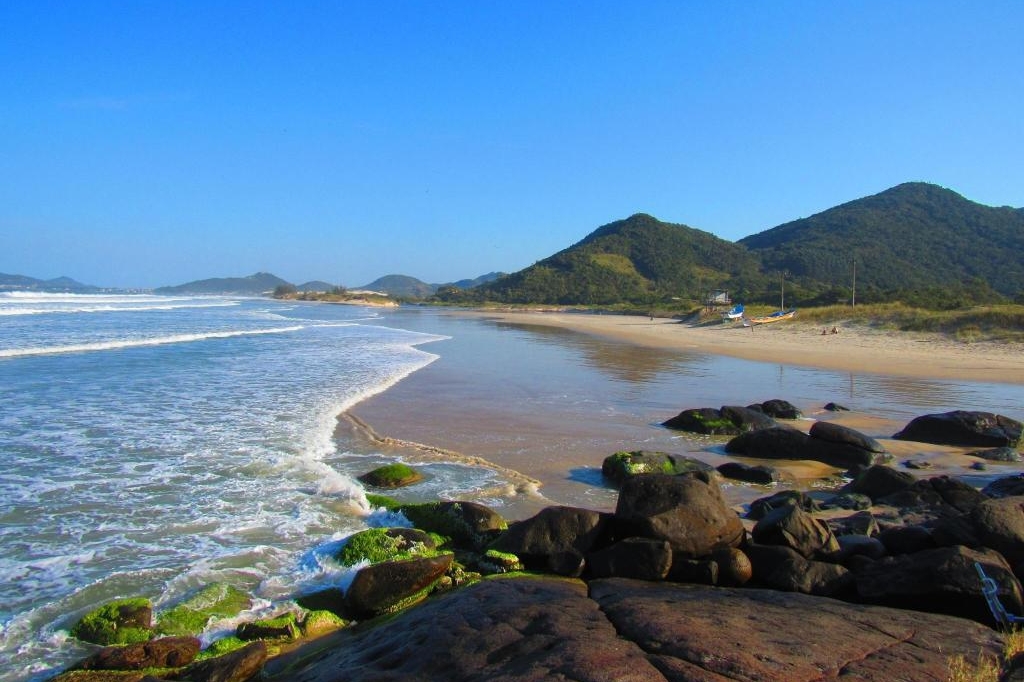 Ferrugem -Brasil :: Caviahuetours